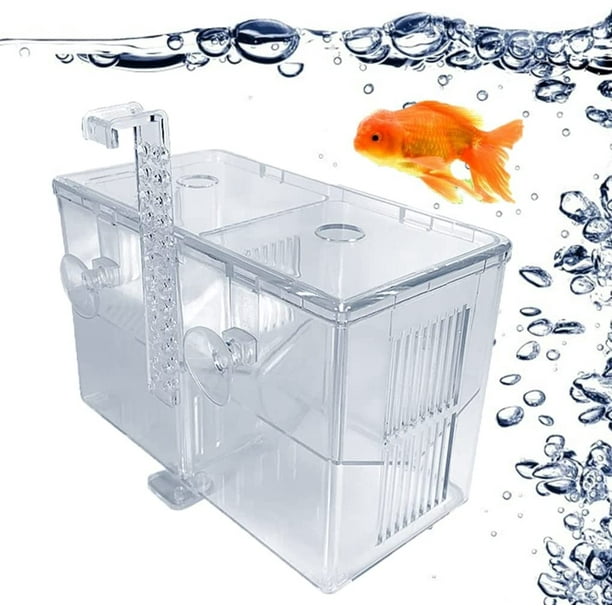 Acrylic Aquarium Breeder Box Hang on Back, Isolation Hatchery Feeding ...