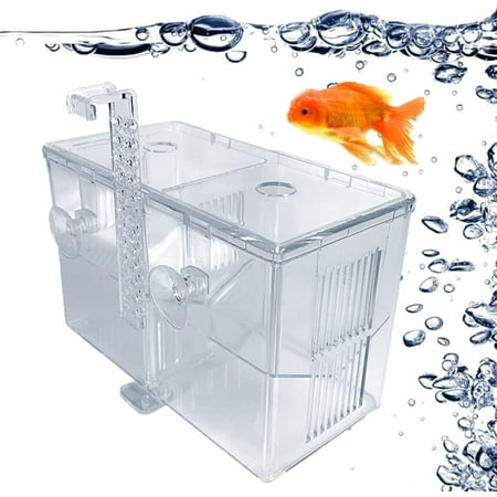 Acrylic Aquarium Breeder Box Hang on Back, Isolation Hatchery Feeding ...