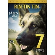 4-Film Collection: Animated (DVD) - Walmart.com
