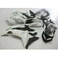 Mad Hornets 2-DAY Injection Fairing Kit Plastic Fit for Kawasaki Ninja ...