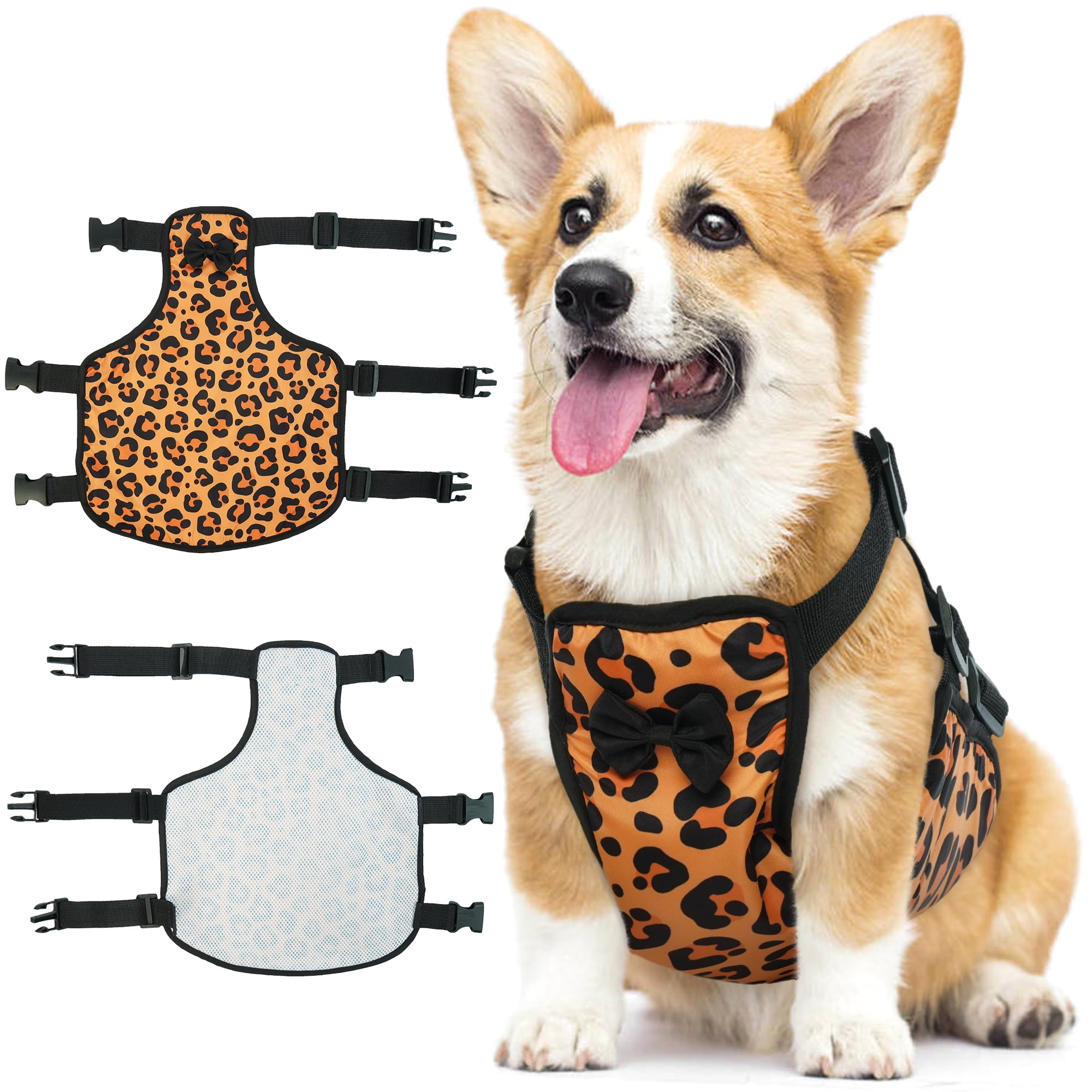 Are Corgis Protective