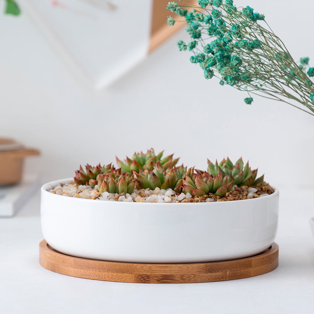 Click here for Heanujj Succulent Ceramic Flowerpot Gardening Plan... prices
