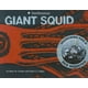 Giant Squid: Searching for a Sea Monster (Paperback) - Walmart.com