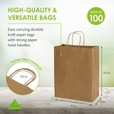 Prime Line Small Kraft Paper Bags, Bulk Flat Shopping Pkg, 8x4x10 100 ...