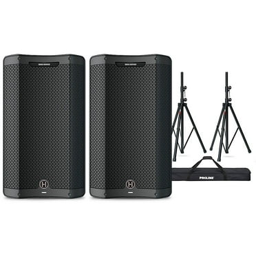 Seismic Audio SALA-210 Passive 2x10 Line Array Portable Speaker with ...