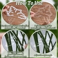 6pcs Leaf Shape Acrylic Plant Growth Fixator Reusable Plant Retaining ...