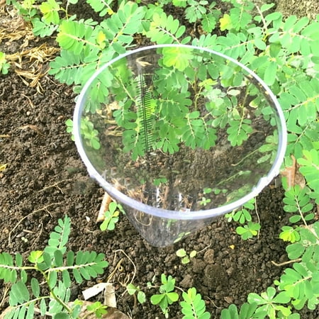 Clear Rain Gauge Dual Scale Cone Rain Gauge Outdoor Rain Measuring Cup ...