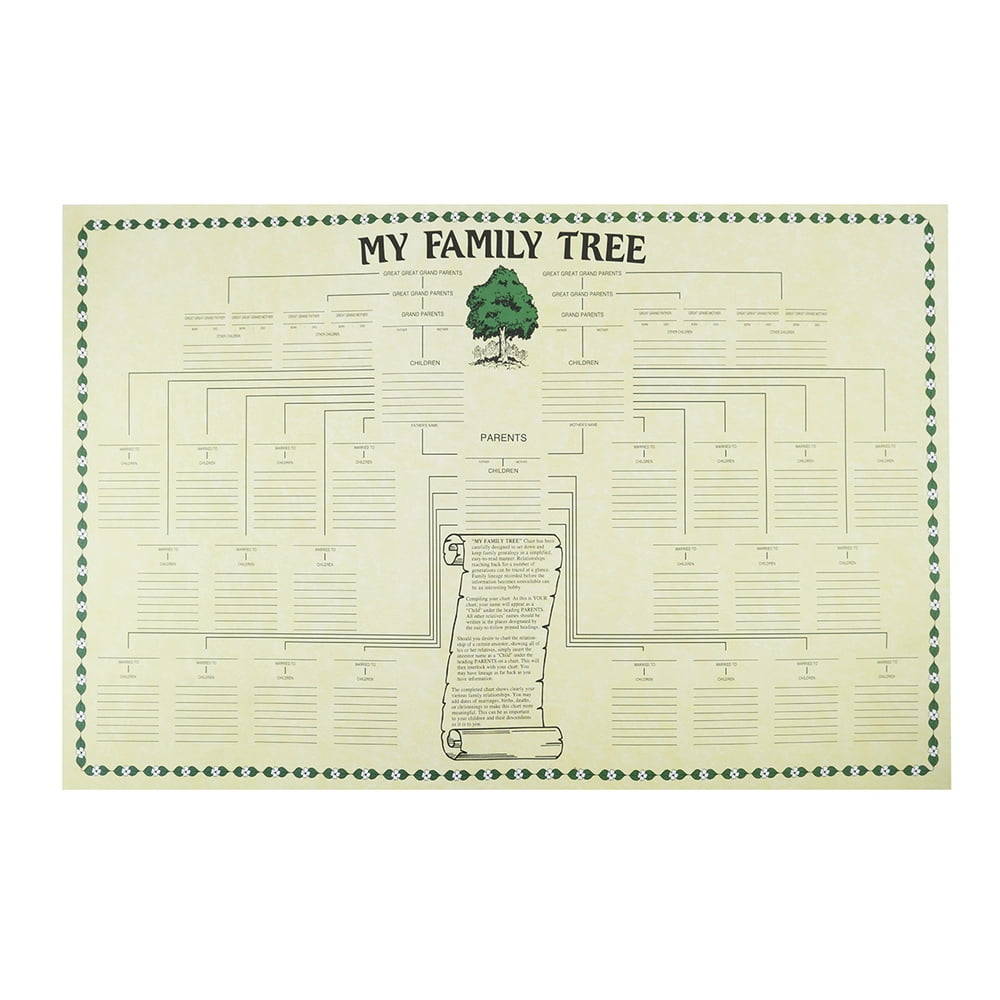Large Genealogy Family History Tree Genetic Ancestry Chart Big Poster ...