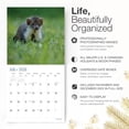 Select - 2026 Wall Calendar 12 Month | 12" x 24" Open | Thick & Sturdy ...