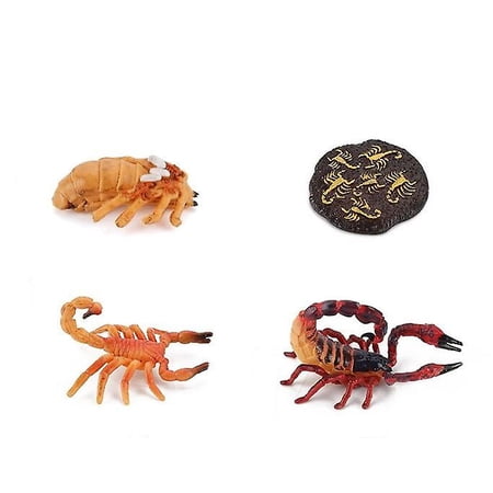 FanShow Scorpion Miniature Figurines Model, Creatures Toy Figurines ...