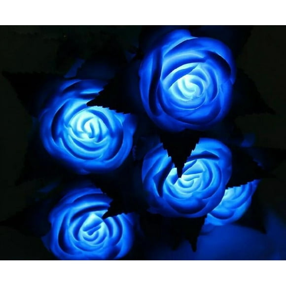 Light Up Roses