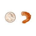 NPG Dried Louisiana Shrimp 2 Oz, Fresh-Caught & Dehydrated for Snacks ...