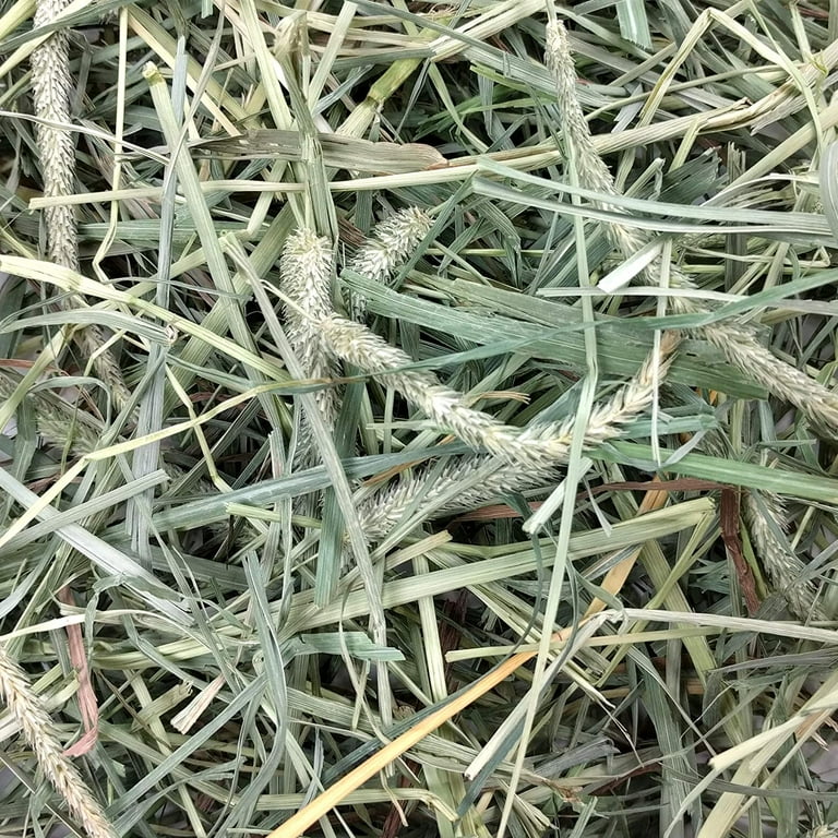 Timothy Grass Hay For Horses
