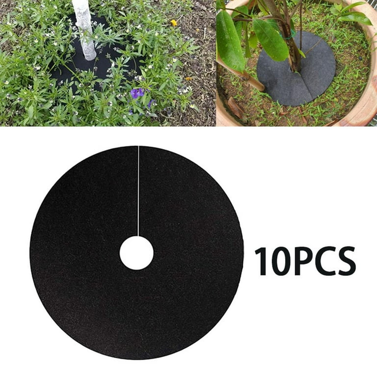 Tree Rings To Prevent Weeds