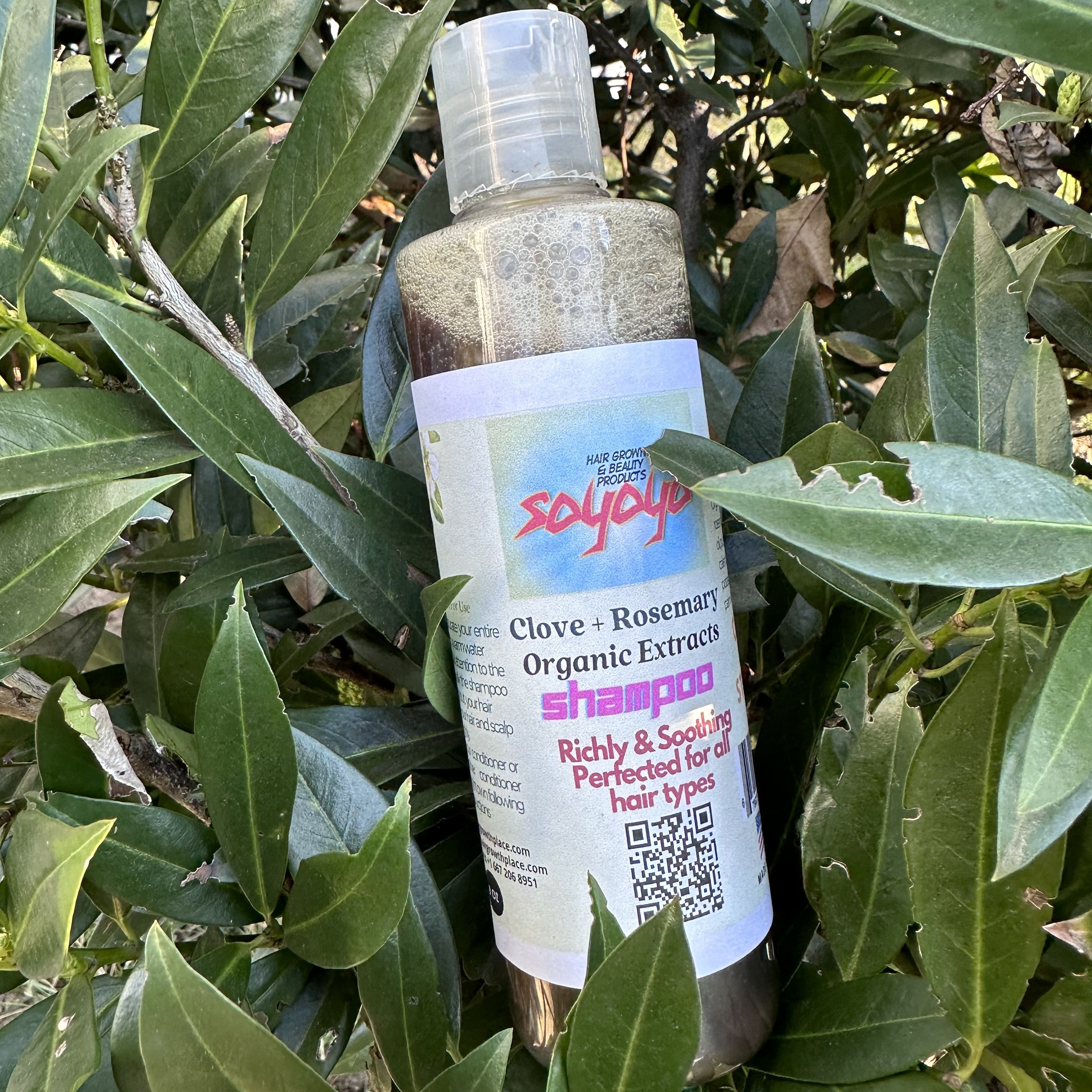 Clove & Rosemary Extracts Shampoo - Walmart.com