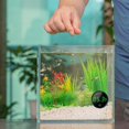 Aquariums Temperature Gauge Digital LCD Thermometers Electric Fishtanks ...