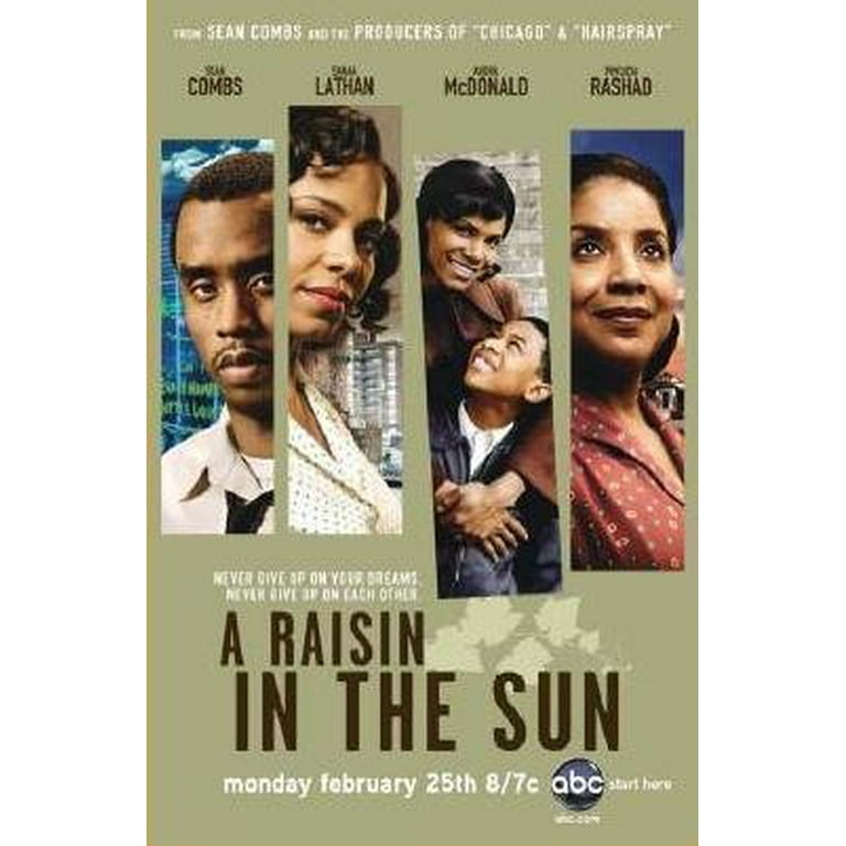 A Raisin In The Sun Book