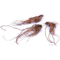Van Zyverden Longest Blooming Hardy Geranium Rozanne Set of 1 Plant ...