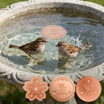 3Pcs Bird Bath Purification Disk 99.99% Pure Copper Outside Birdbath ...