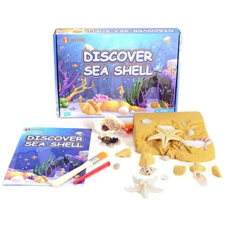 Excavation Kit 20 Natural Sea Shell Starfish Dig It Up Ocean Sea Animal ...