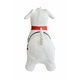 Black & White Dog Bounce & Ride-on Inflatable Hopper Toy with Pump ...