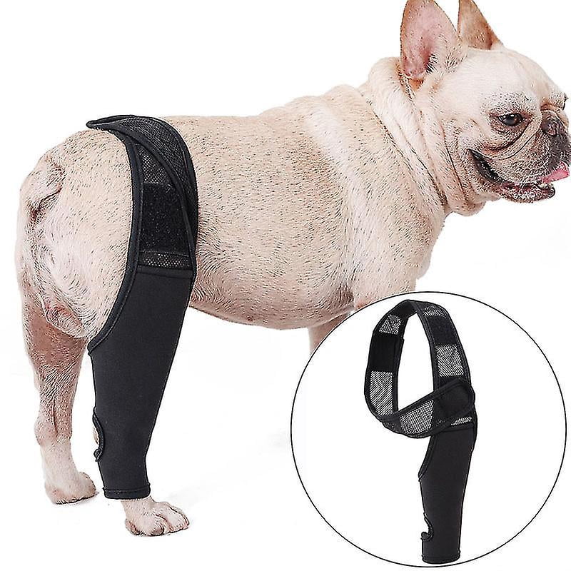Rodillera para perro mascota para artritis por luxación de rótula JAMW ...
