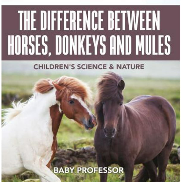 How To Differentiate Between A Donkey Horse And A Mule
