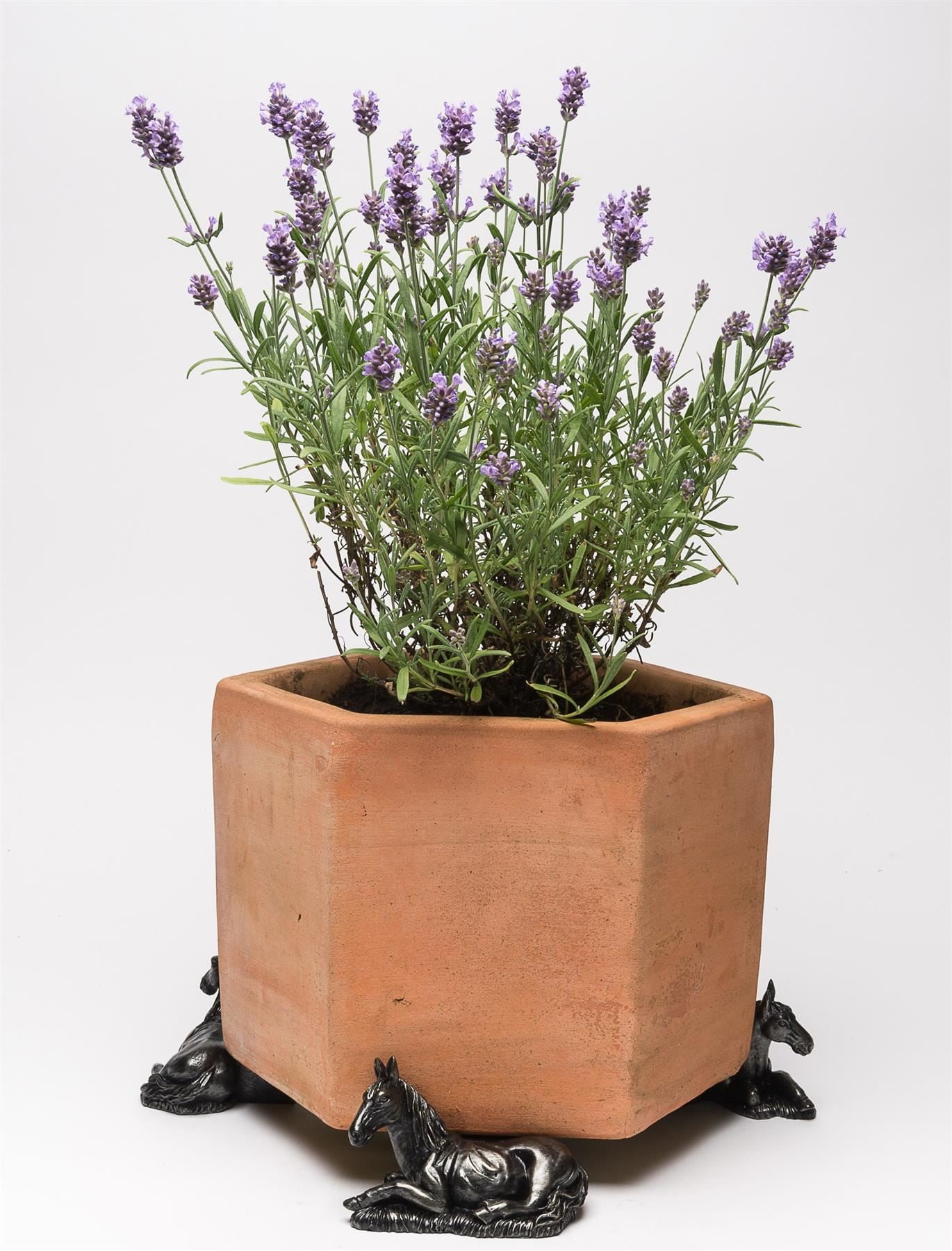 Potty Feet Horse Laying Themed Plant Pot Feet - Bronze Color - Set of 3 ...