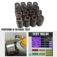3mirrors LS Valve Springs, Performance Racing Compatible with ALL LS ...