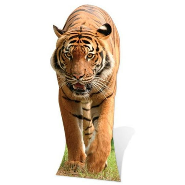 Tiger Cardboard Cutout Cardboard Cutout - Walmart.com