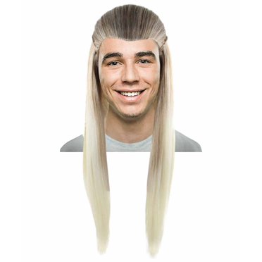Lord of the Rings Adult Legolas Halloween Wig - Walmart.com
