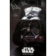 Star Wars Rogue One Sith Lord Movie Poster 22x34 - Walmart.com