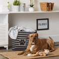 Bone Dry Pet Storage Collection Striped Paw Patch Bin, Black, Large ...