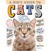 Haven : A Small Cat's Big Adventure (Hardcover) - Walmart.com