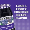 Smucker's Food - Concord Grape Jelly, 18 Ounces - Walmart.com