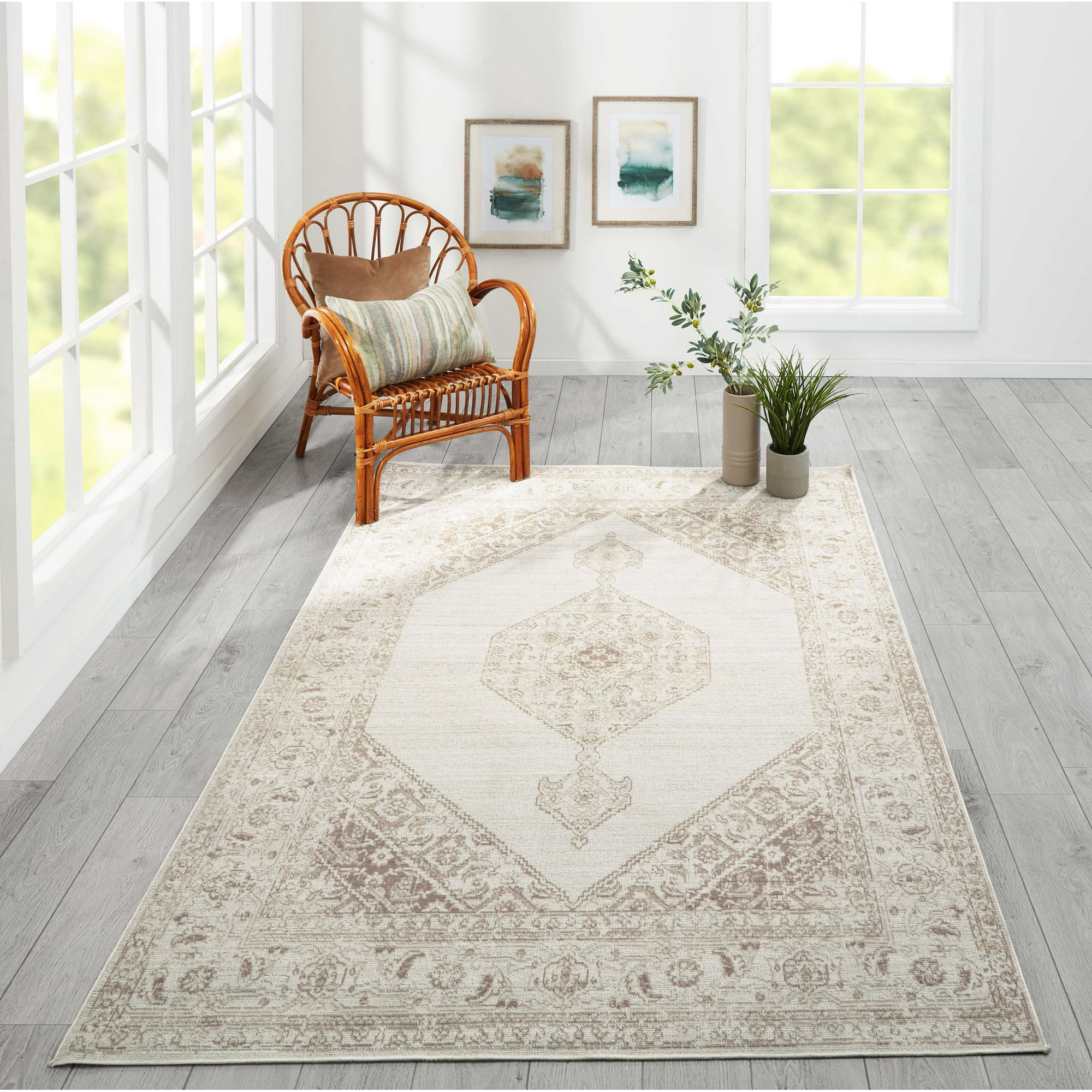 Click here for Ecarpet Maude Traditional Area Rug For Living Room... prices