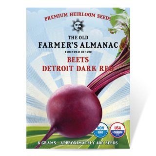 Everwilde Farms - 200 Detroit Dark Red Beet Seeds - Gold Vault Jumbo ...