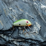 Rebel Humpback Crankbait Green Shad 1 3/4" 1/4 oz. - Walmart.com