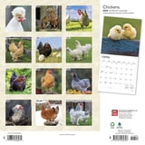 Chickens | 2024 12x24" (Hanging) Monthly Square Wall Calendar ...