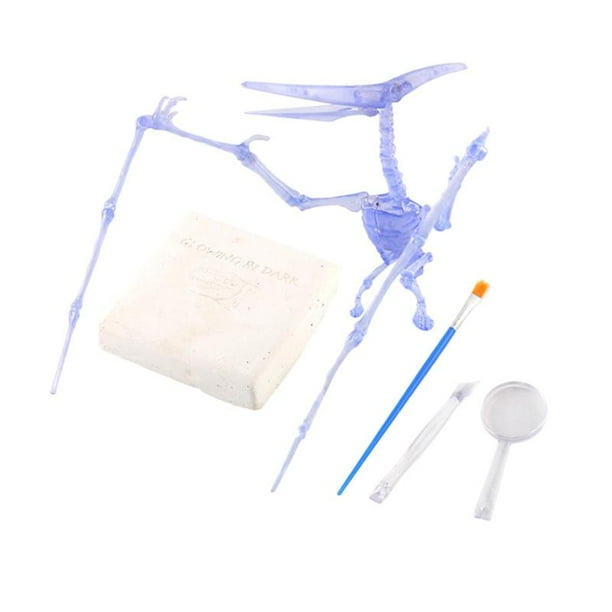 Dinosaur Digging Kit for kids, Dinosaur Eggs Excavation Kit, Jurassic ...