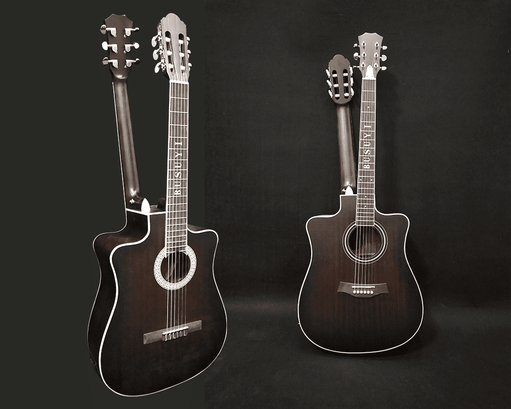 6 Strings classical /6 Strings Acoustic Double Neck, Double Sided ...