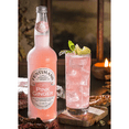 Fentimans Botanically Brewed Pink Ginger Sparkling Soda, 5 Pack, 9.3 fl ...