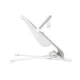 Baby Delight Highland Portable Baby Bouncer, 3-Position, Infants 0-6 ...