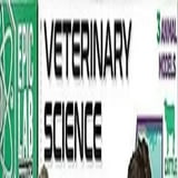 ArtSkills Epic Lab Veterinary Science STEM Anatomy Clay Kit for Kids ...