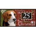 Beagle Dog "Holiday Countdown" Dog Sign / Plaque featuring the art of ...