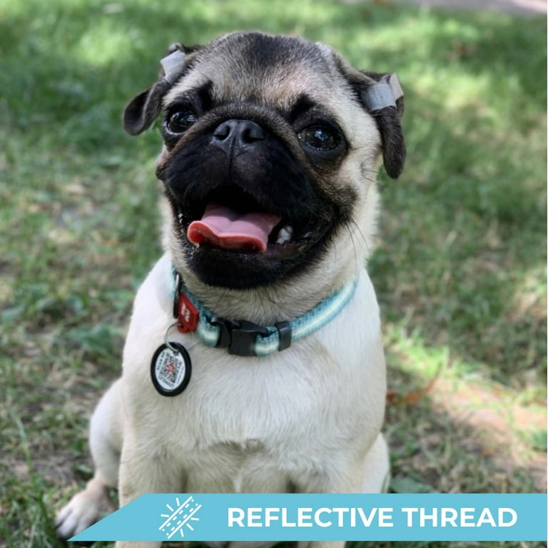 Personalized Reflective Dog Collars