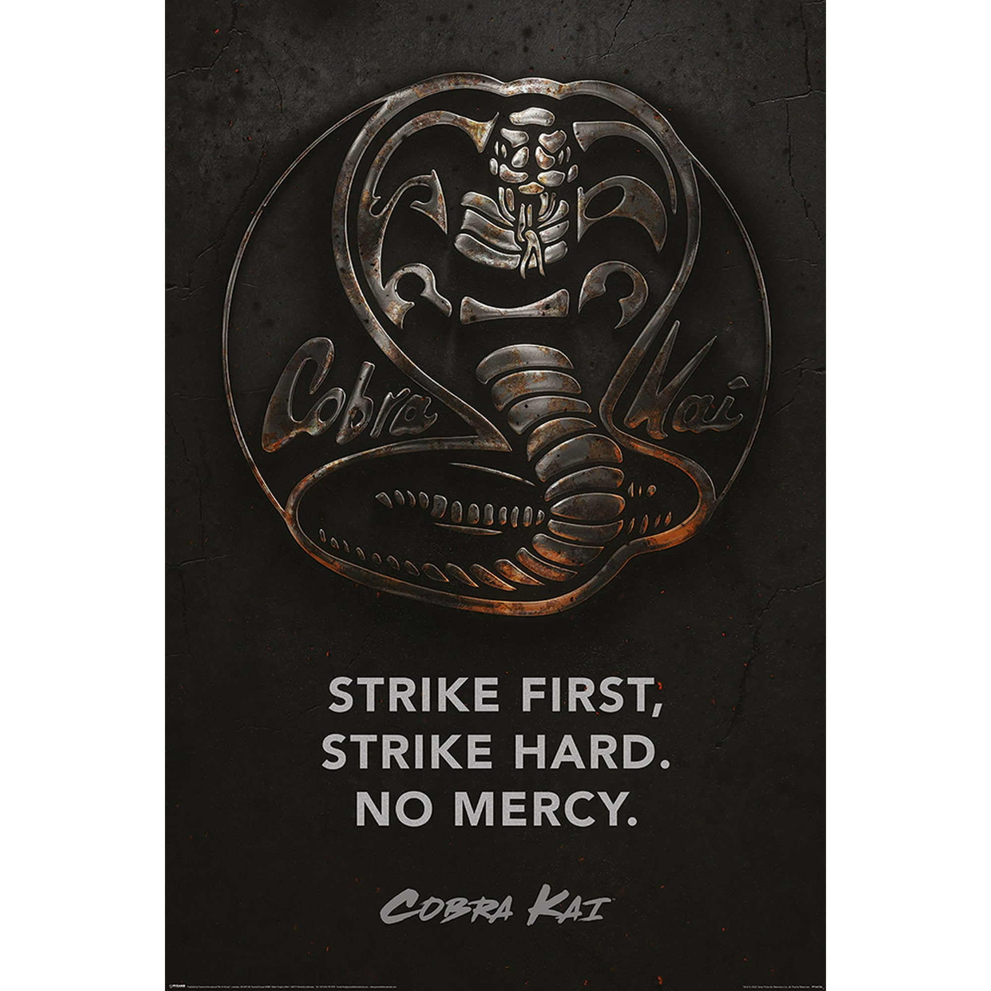 Cobra Kai No Mercy