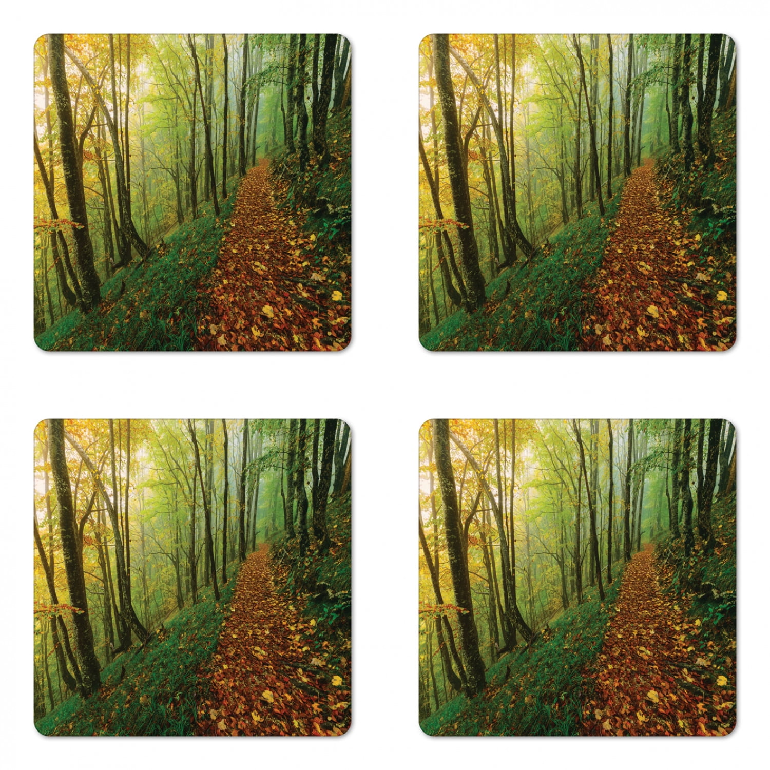 National Parks Coaster Set of 4, Surreal Foggy View Deep in the Forest ...