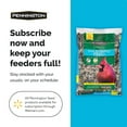 Pennington Wild Bird Feed 40lb - Walmart.com