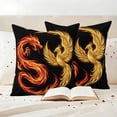 Chinese Style Outdoor Waterproof Pillow Covers, Dragon Phoenix Gradient ...